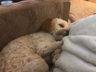 PERFECT UNION WITH GOD – The Center for Contemplative Practice