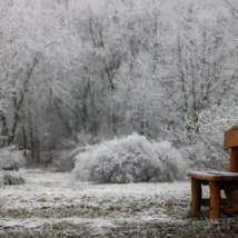 The Center for Contemplative Practice – A Lay Cistercian Looks at ...